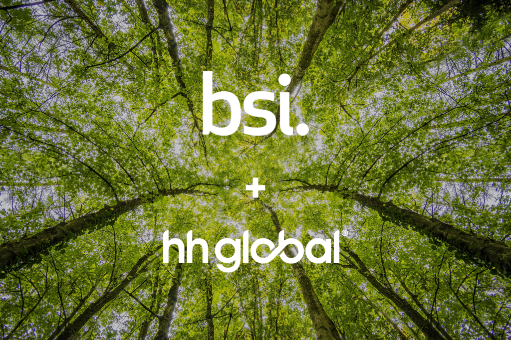 BSI collaboration on sustainability