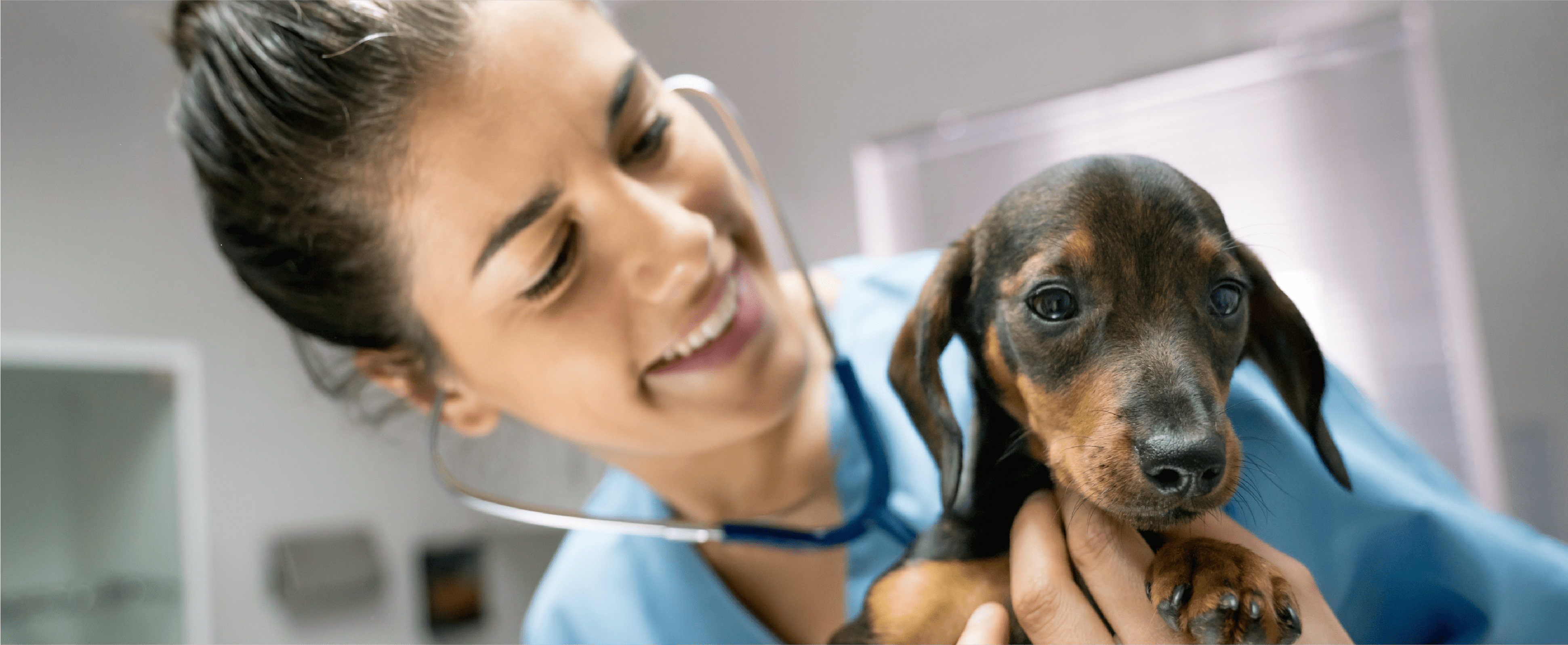 Animal health Case Study | HH Global